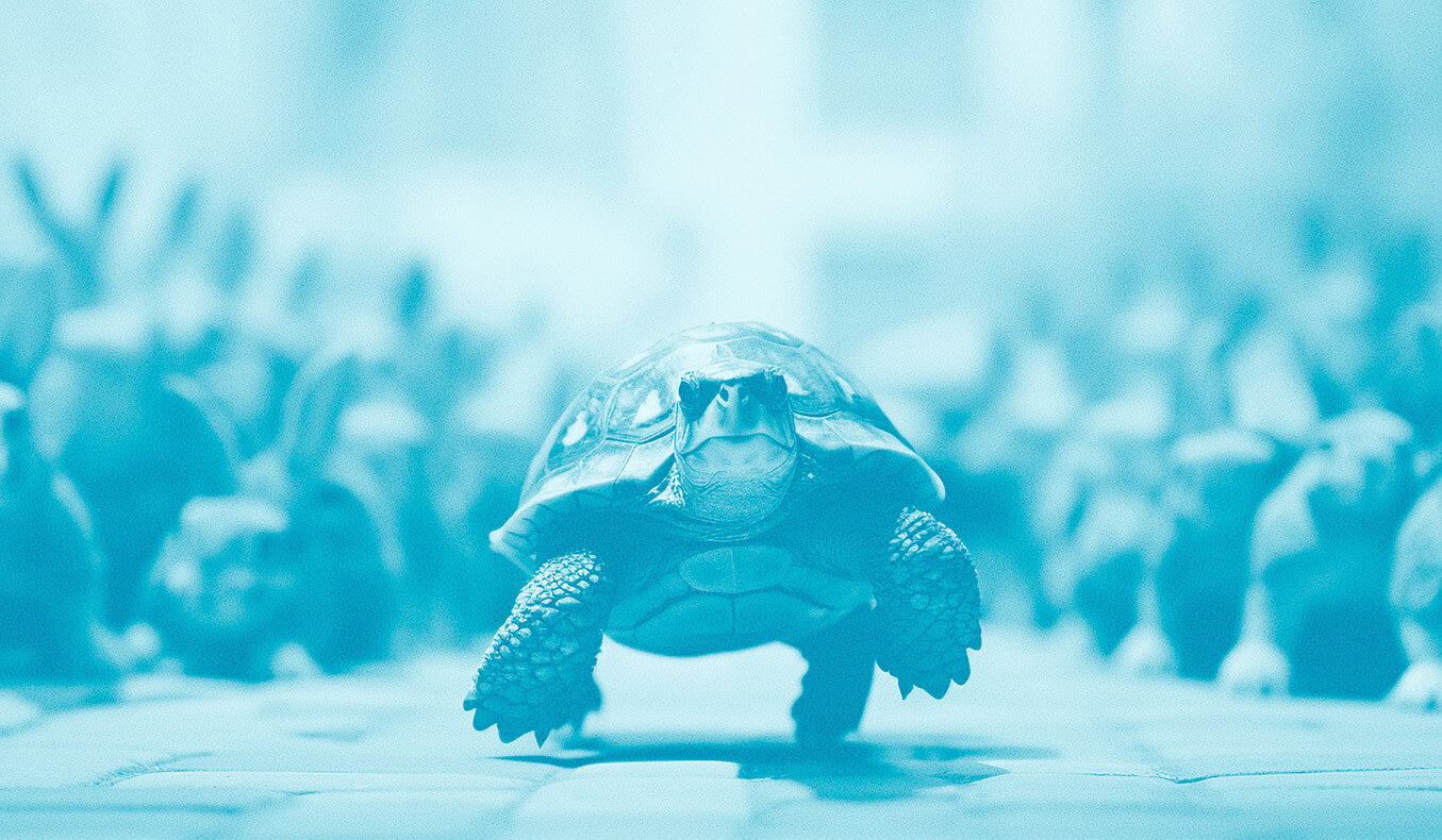 Why Strategy? The Mindset of Problem Solving. | Alphabet®